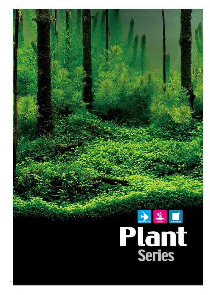 Plant Series – DYMAX SINGAPORE