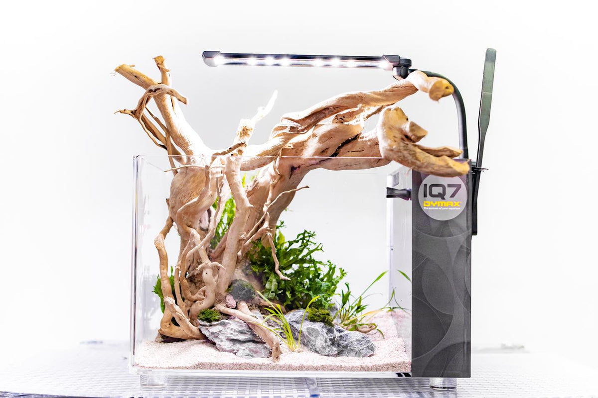 DYMAX IQ7 MINI ACRYLIC AQUARIUM – DYMAX SINGAPORE