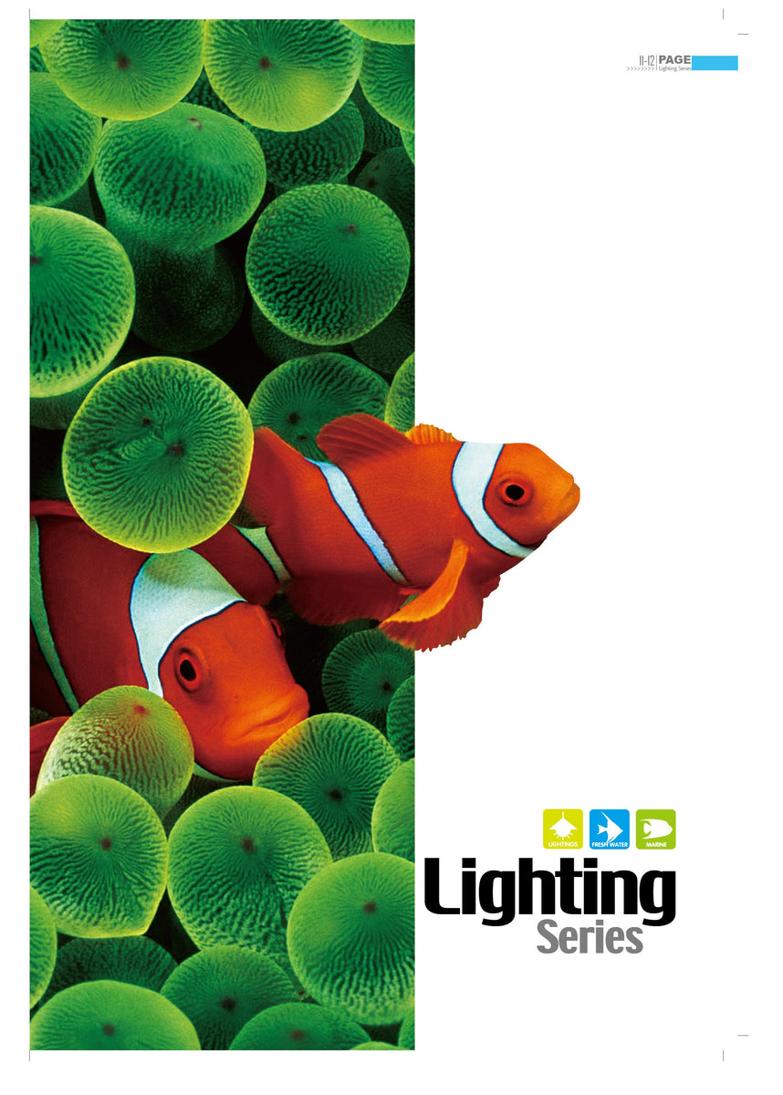 Lighting Series – DYMAX SINGAPORE