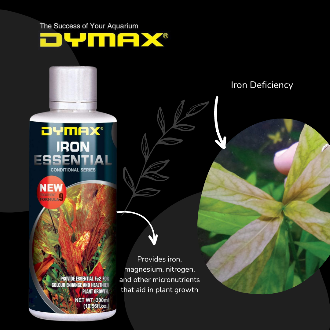 DYMAX Plant Additives – DYMAX SINGAPORE
