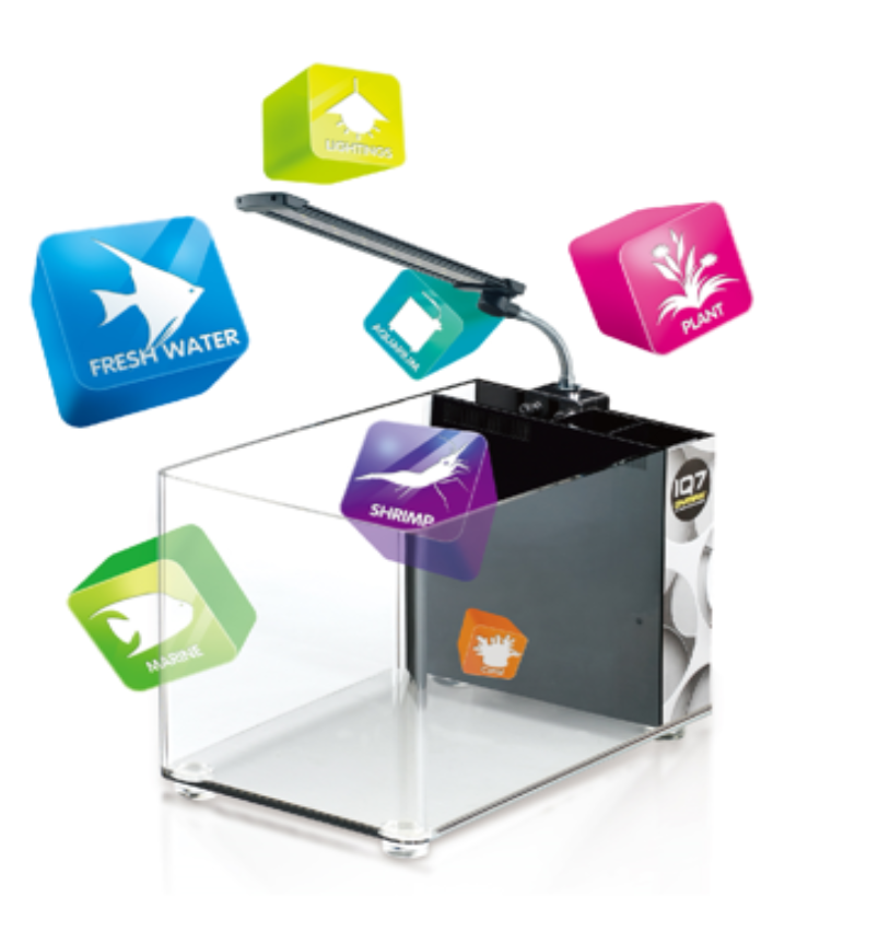 Aquarium Series – DYMAX SINGAPORE